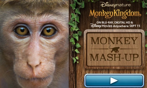 Monkey Kingdom: Monkey Mash-Up | NuMuKi