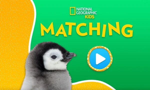 National Geographic Kids: Matching | NuMuKi
