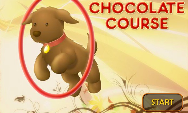 American Girl: Chocolate Course | NuMuKi