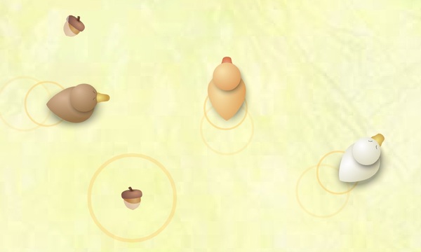 Orisinal: The Pond | NuMuKi